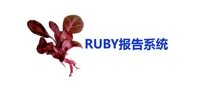 RUBY报告系统 | 一种新的可直接通过肉眼观察植物组织累积红色甜菜碱的报告系统 - 知乎
