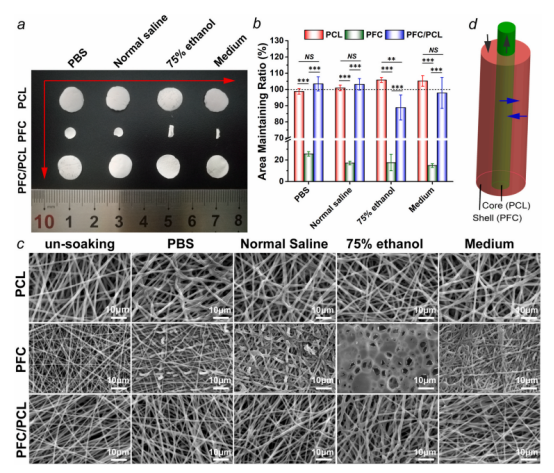 PFC/PCL-BA纤维支架的构建及其在血管化骨再生中的应用 - 知乎