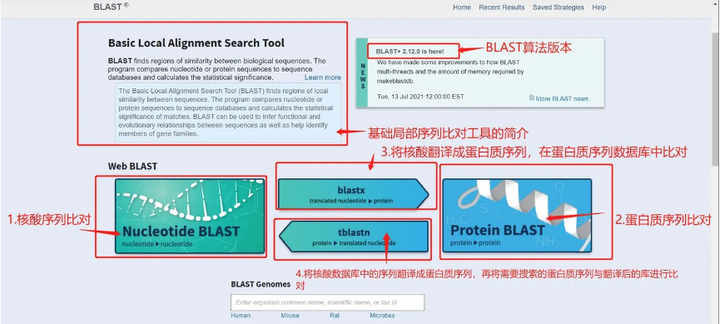 Linux系统中使用BLAST - 知乎
