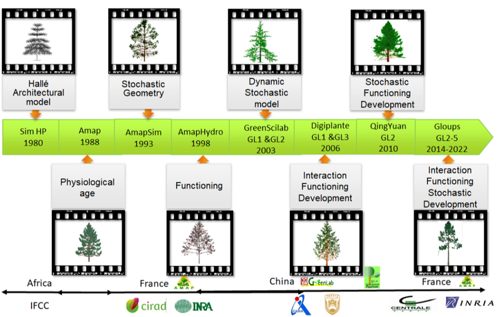 “GreenLab”——植物功能结构模型：最新研究进展 - 知乎