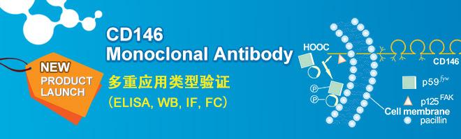 肿瘤标志物CD146 - 知乎