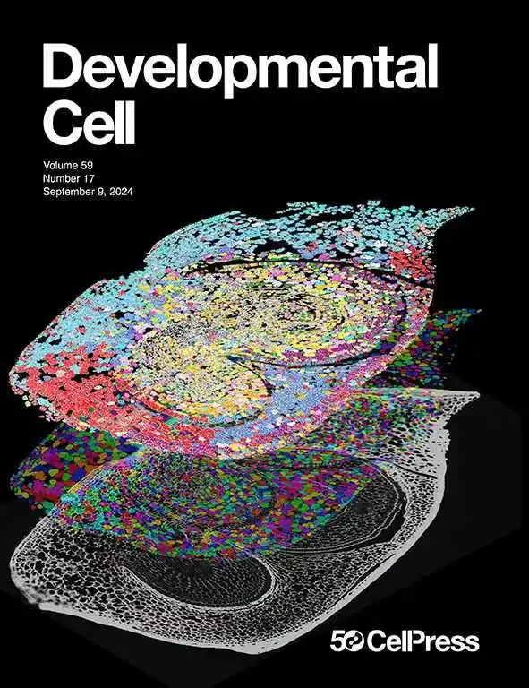 Developmental Cell封面 | Stereo-seq助力绘制水稻种胚单细胞分辨率空间转录组图谱 - 知乎