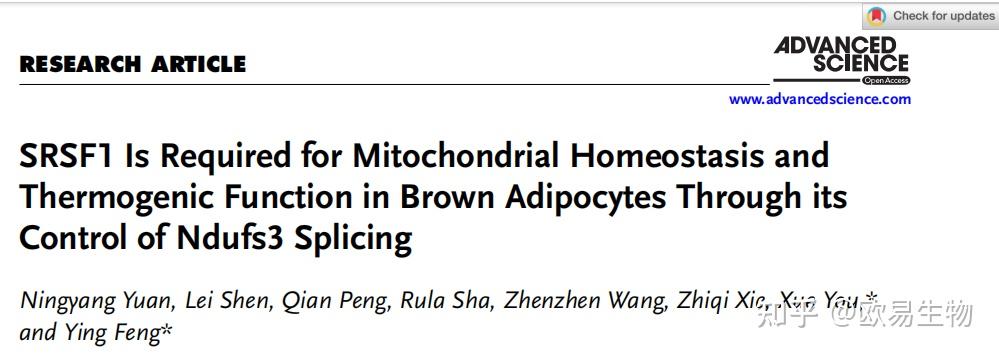 项目文章Adv Sci |让棕色脂肪“打败”肥胖，SRSF1在脂肪中的作用 - 知乎