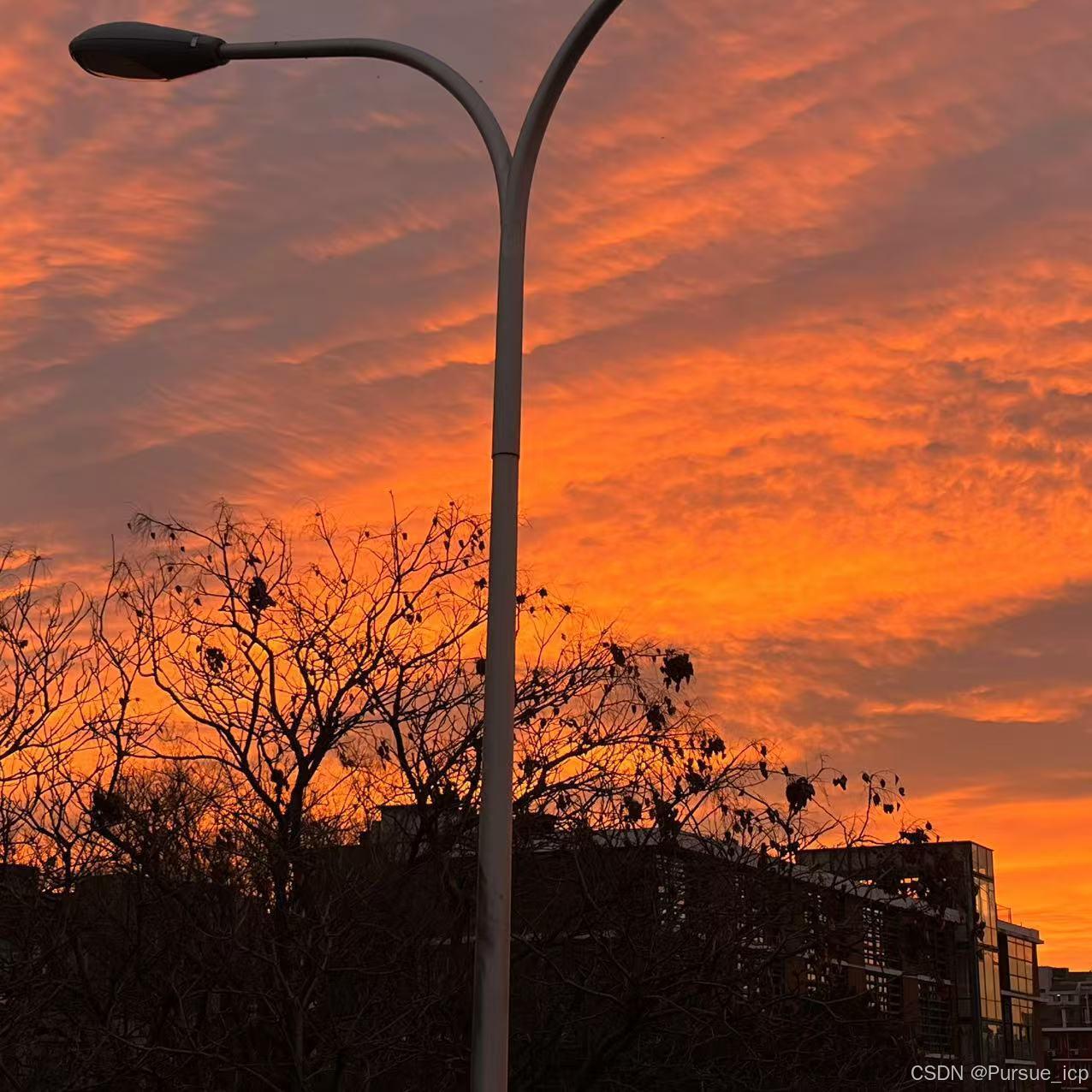 2025Fall·申博日记 - 知乎