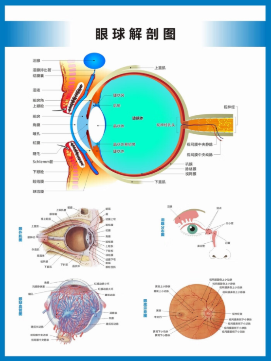 ticl与icl的区别 - 知乎