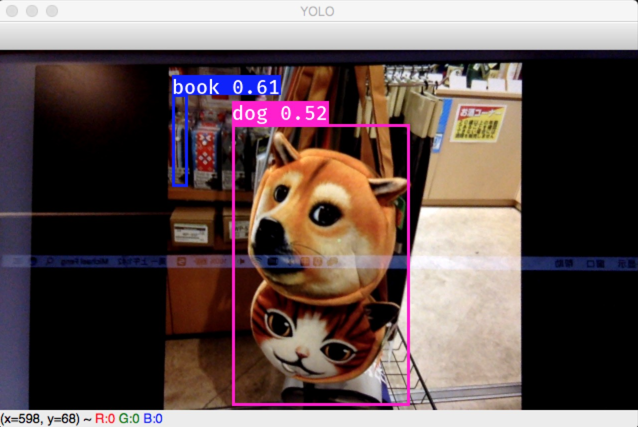 5分钟GET AI - 用 Python 玩转 YOLO - 知乎