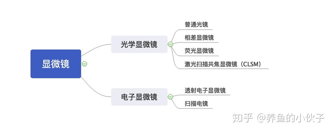 显微镜的种类？！ - 知乎