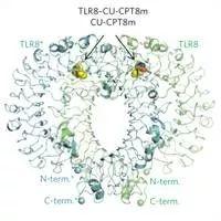 TLR8小分子抑制剂或将治愈自身免疫病 | MedChemExpress - 知乎