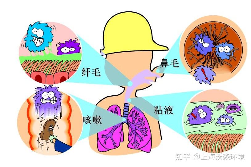 制药行业粉尘危害有哪些？对人体健康有哪些影响 知乎
