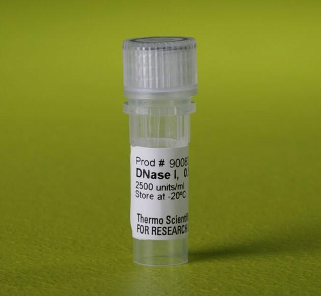 DNase I揭秘：用于DNA操作研究的强力工具 - 知乎