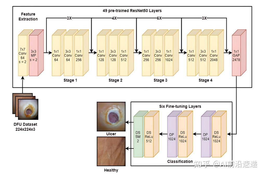 深度学习可解释杀疯了！登上《Nature》正刊！屠榜双领域SOTA！ - 知乎