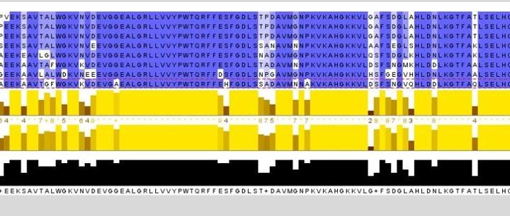 多序列比对软件Jalview的安装及使用体验 - 知乎