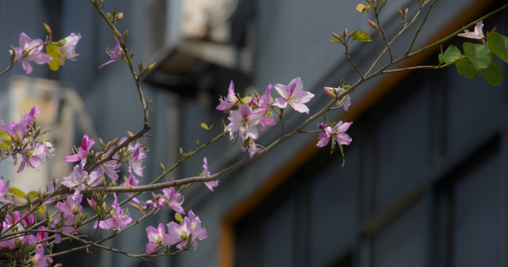 经典 bpf 范例: bootstrap 分析 - eBPF基础知识 Part3 - 知乎