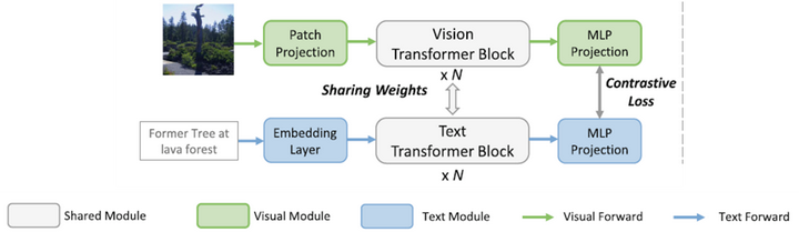 ECCV 2022 | MS-CLIP：共享部分参数的改进版 CLIP，为视觉任务特别优化 - 知乎