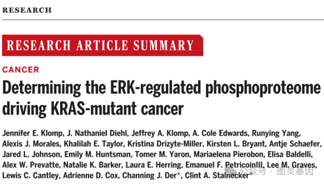 Science ｜ 蛋白激酶ERK调控的磷酸化蛋白质组驱动KRAS突变癌症 - 知乎