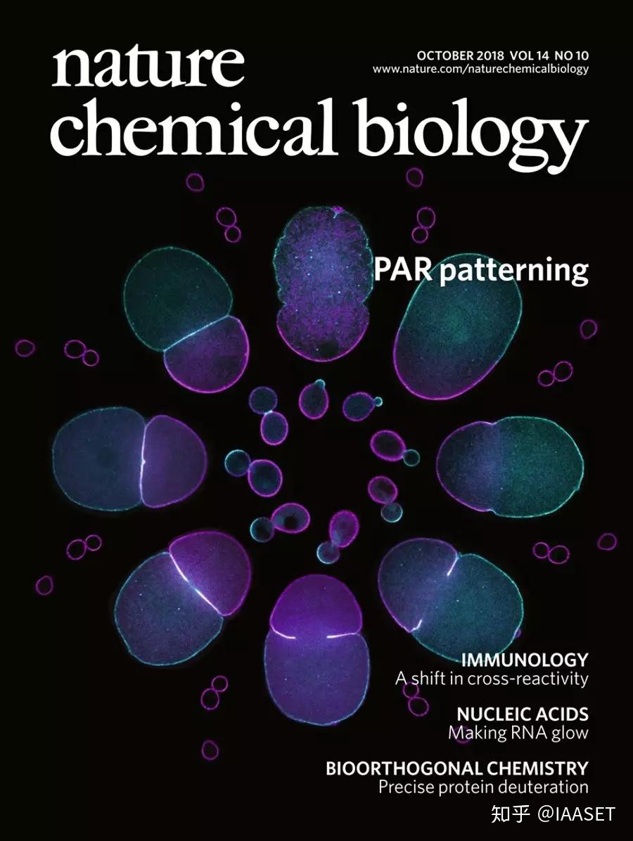 10月Nature子刊的45张封面，你pick哪一张？ - 知乎