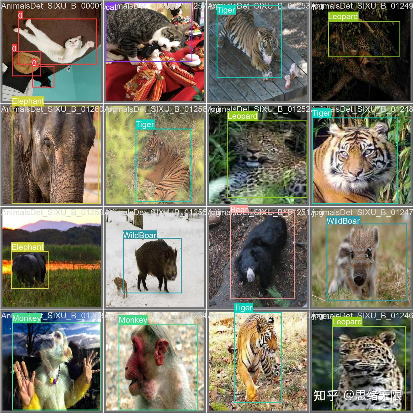 基于YOLOv8/YOLOv7/YOLOv6/YOLOv5的多种类动物识别（Python+PySide6界面+训练代码） - 知乎