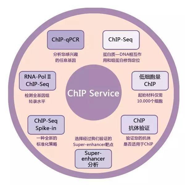 如何做好ChIP实验？这些细节你注意了吗？ - 知乎