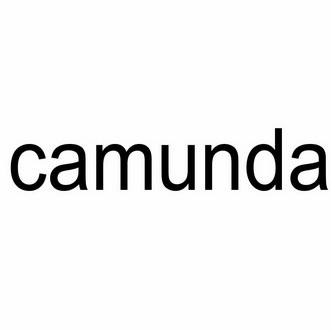 Camunda 流程保姆教程- 网关（Gateway）介绍 - 知乎