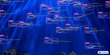 ultralytics的datasets概览及如何注释 - 知乎