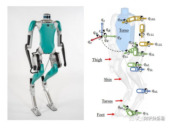 Agility Digit机器人运动控制原理浅析 - 知乎