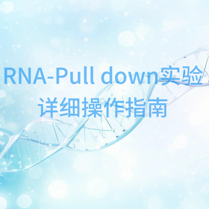 RNA-Pull down实验详细操作方法流程 - 知乎