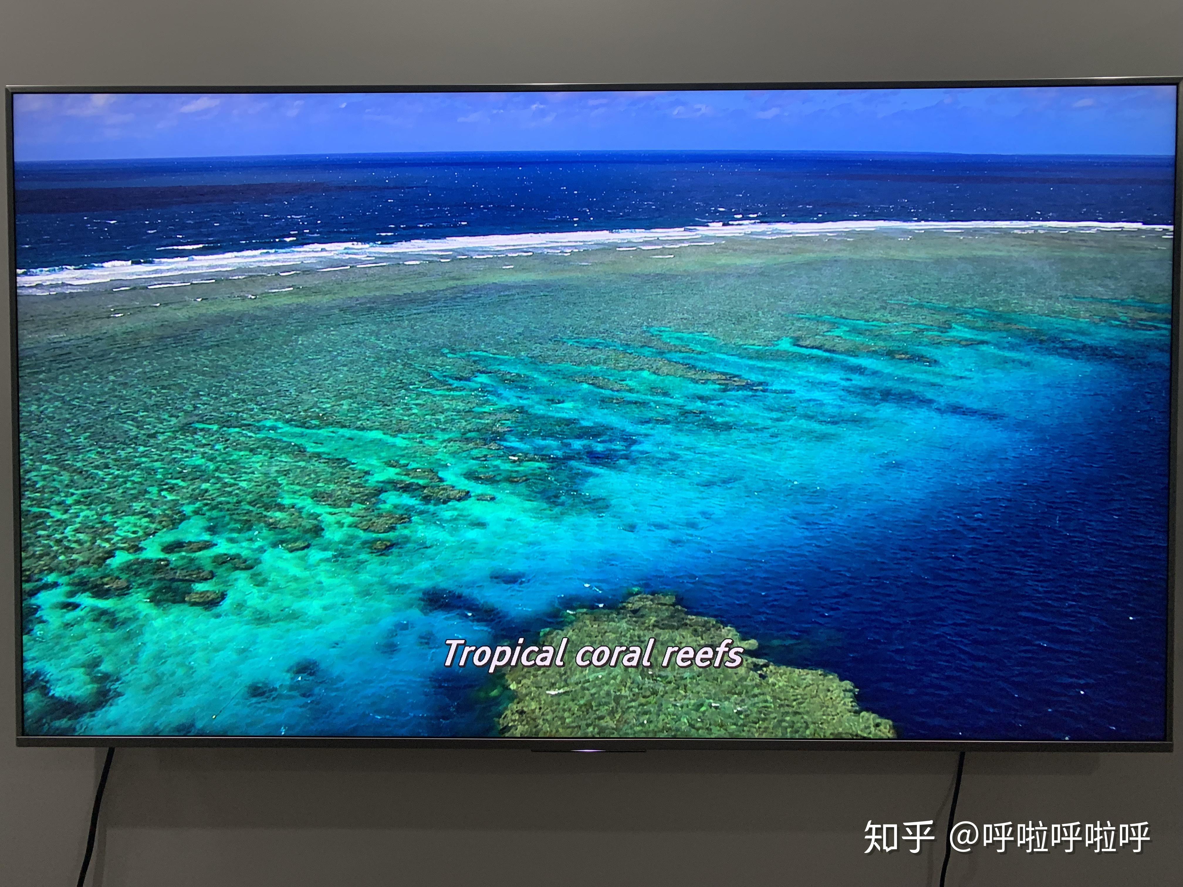 4K厅 篇一：4K纪录片究竟有多少？珍藏好这份全球最全4K超清蓝光纪录片清单（第1-10部） - 知乎