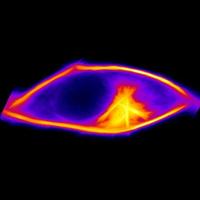 一键使用AlphaFold2—基于ColabFold - 知乎