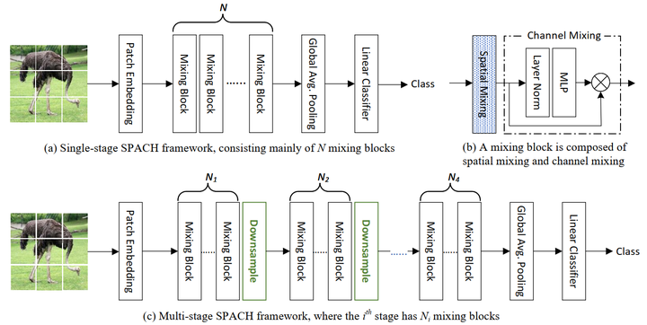 网络结构之战：CNN、Transformer和MLP的实证研究 - 知乎