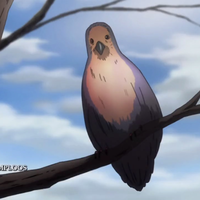 PyCharm配置Anaconda的Python 解释器（Mac版） - 知乎