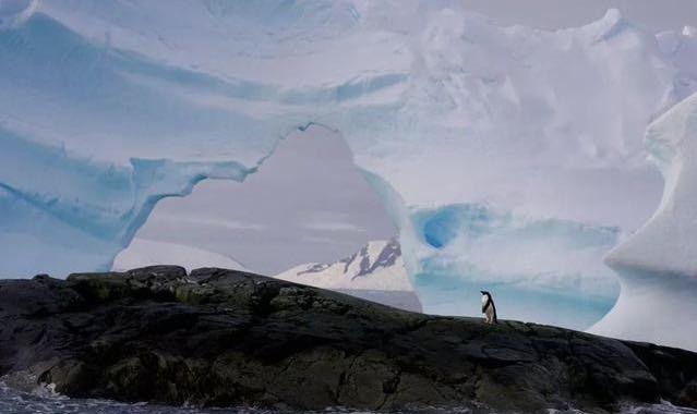 Calcite 启发式 Planner (HepPlanner) - 知乎