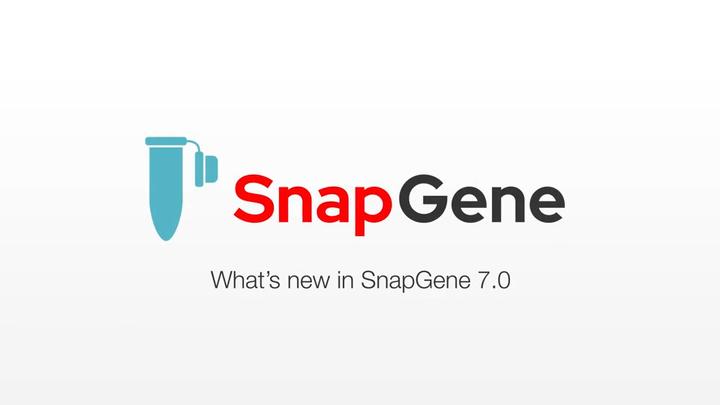 SnapGene 7.0 强势来袭！ - 知乎