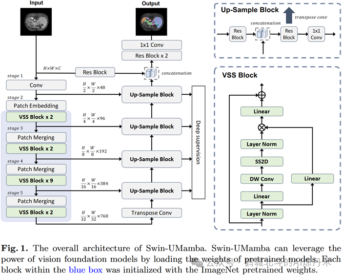 Mamba->医学图像分割(二) - 知乎