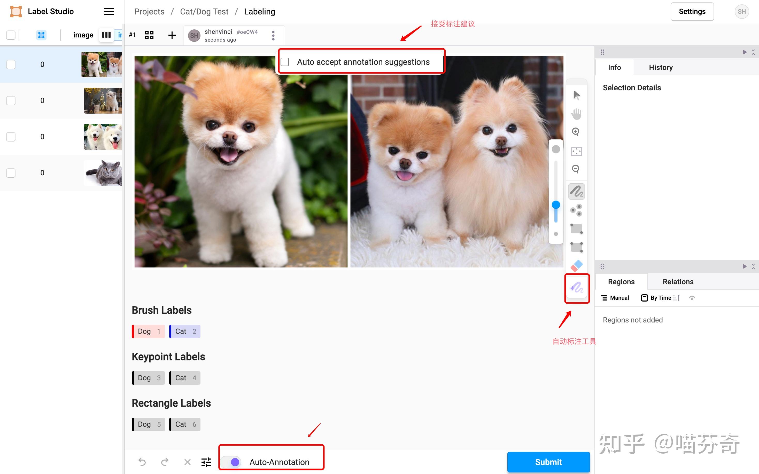 基于SAM和Label Studio搭建半自动实例分割标注平台 - 知乎