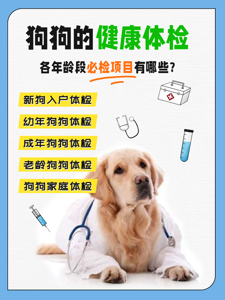 敲黑板!狗狗各年龄段体检项目附狗狗家庭式体检 知乎