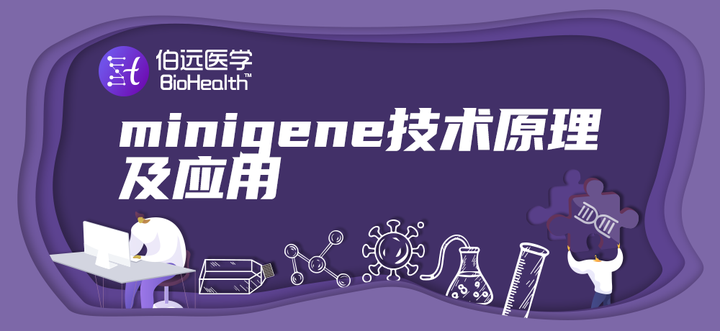 一文解析Minigene技术原理及应用 - 知乎