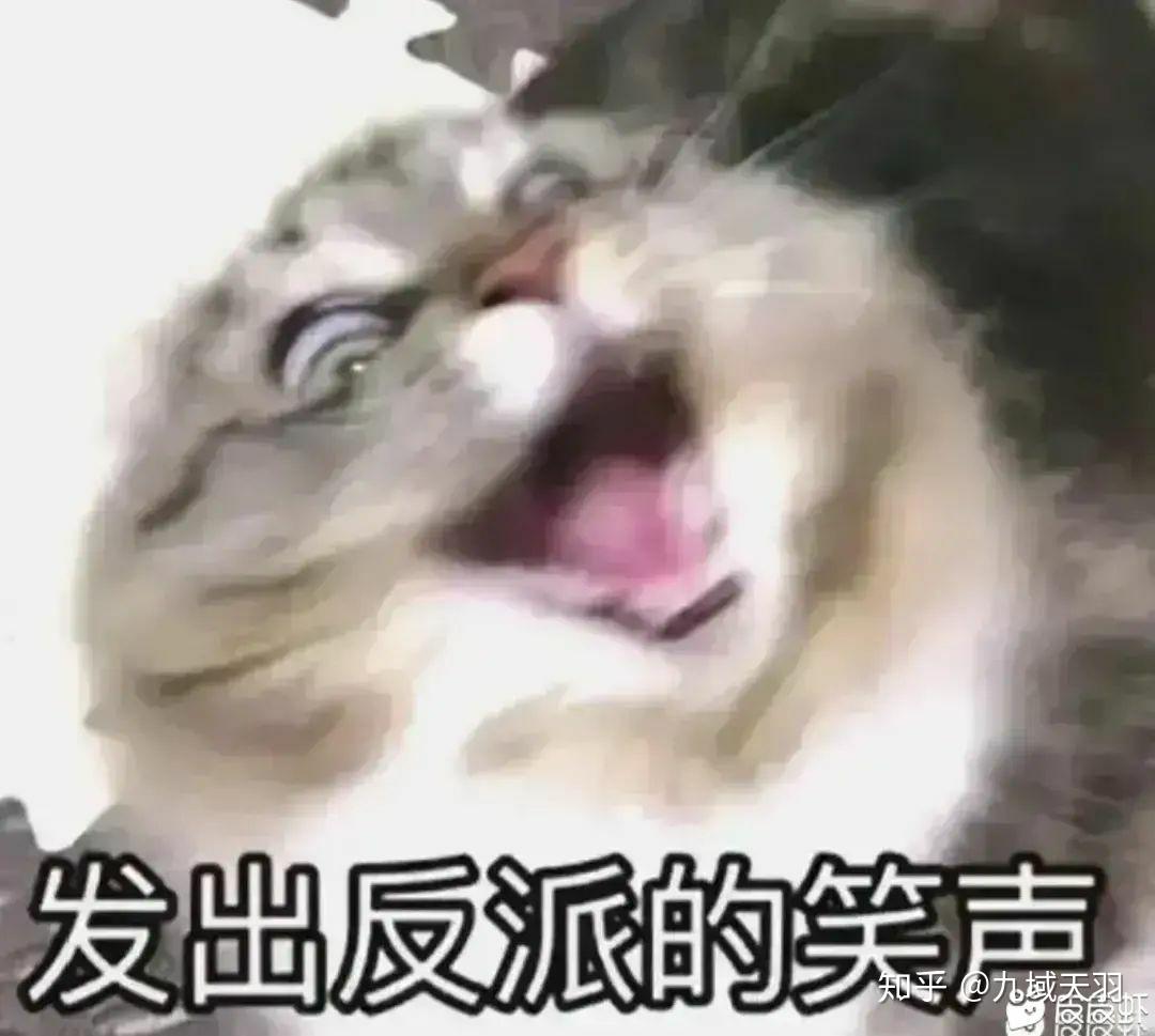 明侦中NZND的粉丝名MDZZ是什么意思？ - 知乎