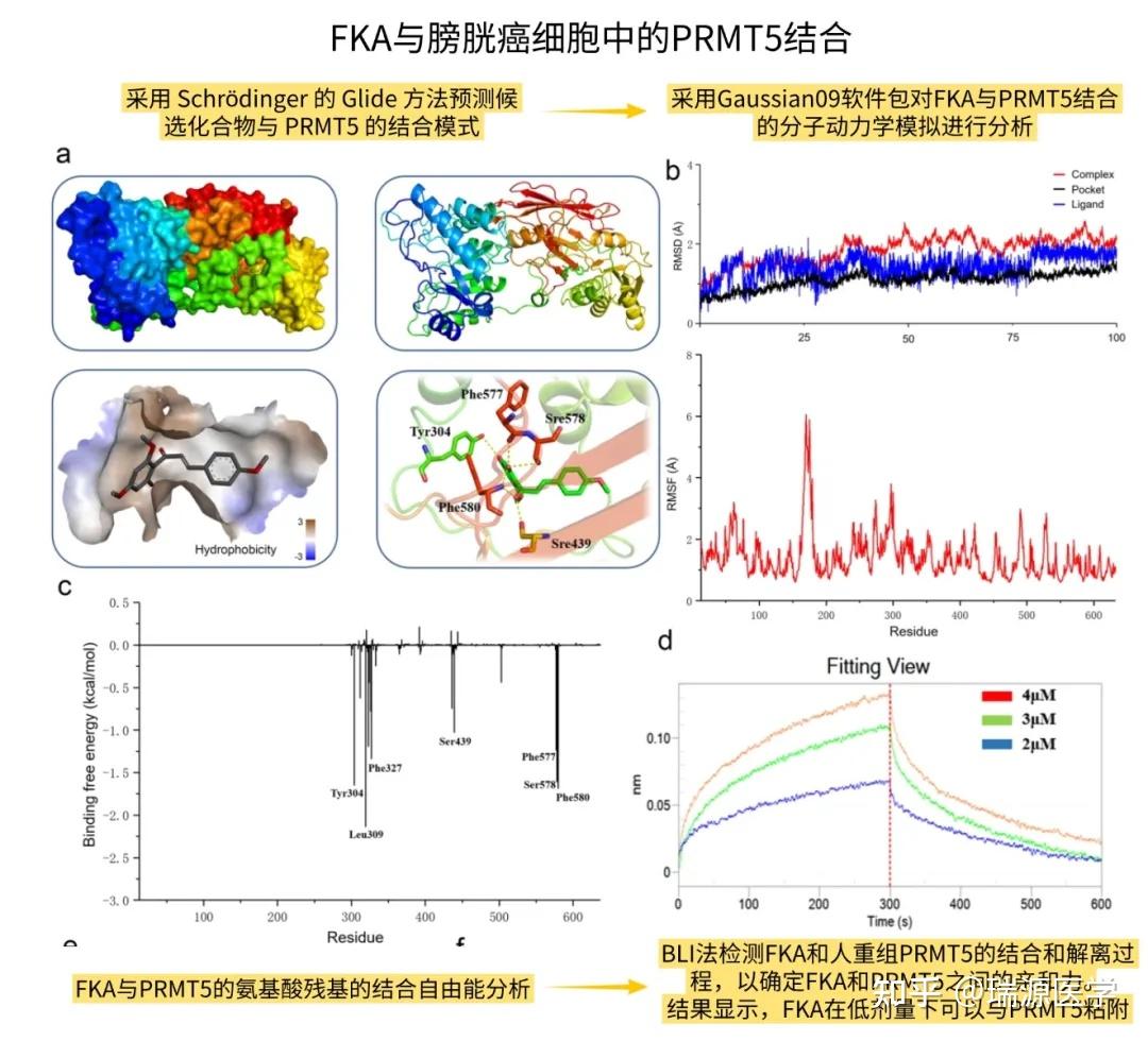 SPR/BLI/MST/ITC一篇拿捏，手把手教你体外分子互作结果解读及实验选择！ - 知乎