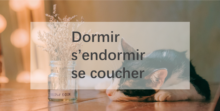 法语词义区分: dormir, s'endormir, se coucher - 知乎