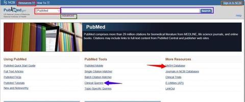 EndNote链接pubmed报错怎么办？（亲测有效） - 知乎