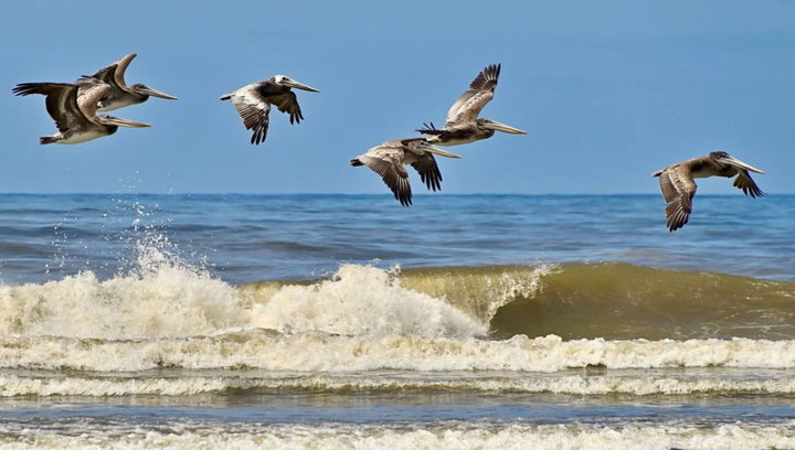 使用SpringBoot+Shiro+JWT实现一个系统支撑两套登录流程 - 知乎