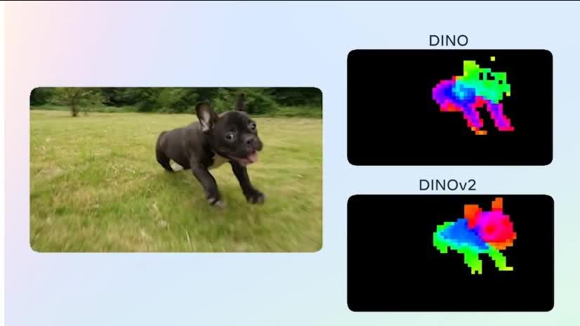 DINOv2：无需微调，填补SAM空白 - 知乎