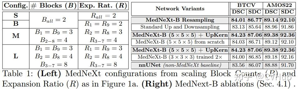 nnUNet 研究团队新作 | MedNeXt: 结合 ConvNeXT 的新一代 Transformer 网络架构 - 知乎