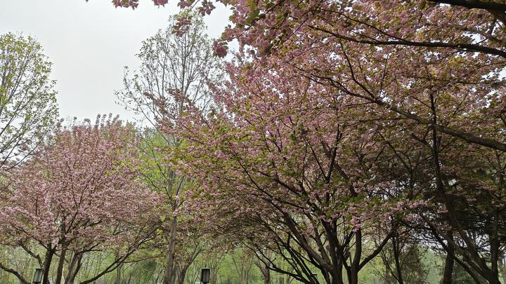 LNK2019 无法解析的外部符号 "void __cdecl cv::imshow(class cv::String const &,class cv::debug_build_guard ...