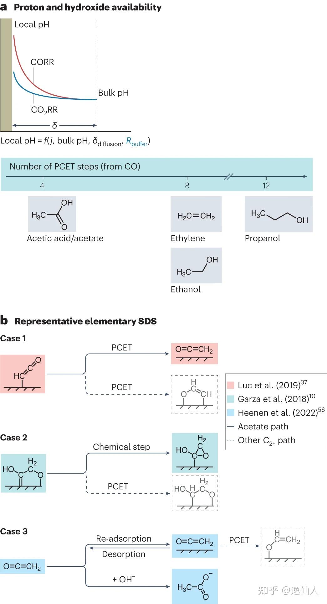 CO2RR和CORR反应体系对产物选择性的影响及原因 - 知乎