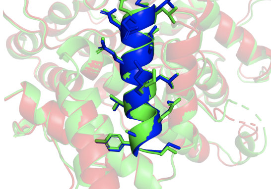 AlphaFold训练技巧与AlphaFold Multimer - 知乎