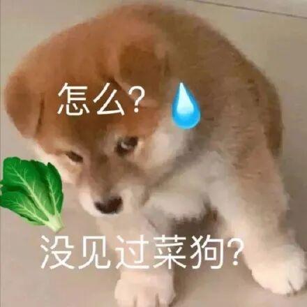 R 语言Mfuzz 绘图 | 从数据预处理到聚类可视化 - 知乎