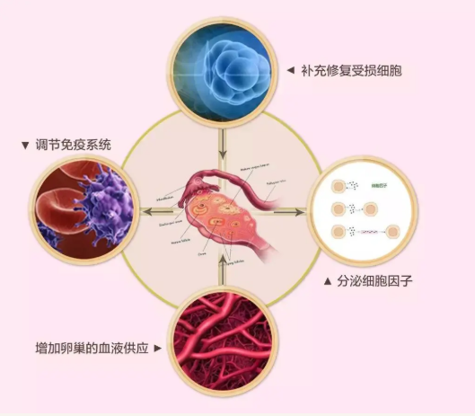 fsh值高该怎么调理，疑惑fsh8点多正常吗？ - 知乎