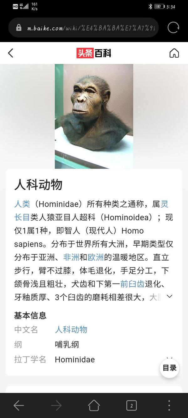 猩猩按生物学分类是人科吗？