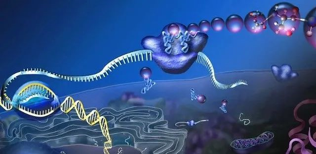 Nat Biotech | 发现单细胞组蛋白修饰之间的动态关系：scChIX-seq - 知乎